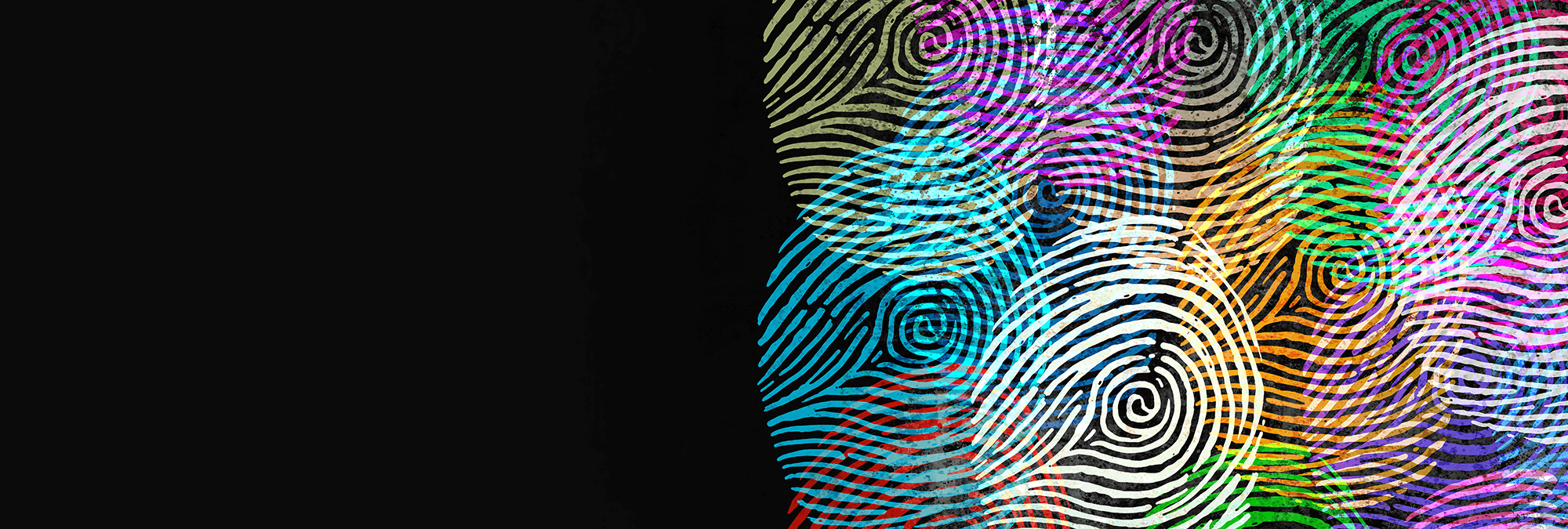 TOR Project Announces Bug Fixes | GuidePoint Security