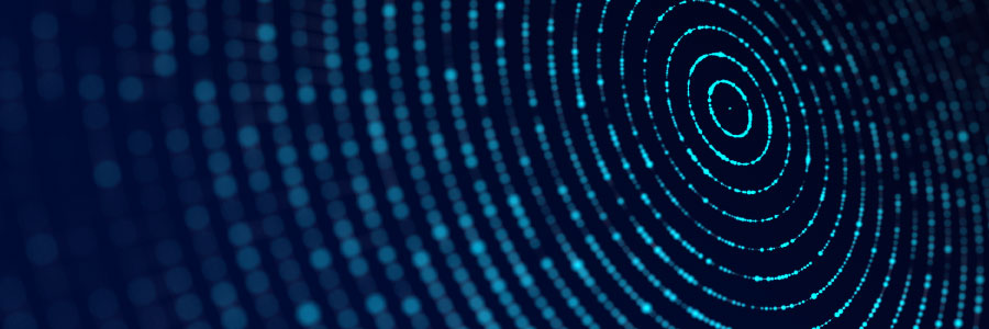 5 Examples of Business Logic Vulnerabilities (BLVs)